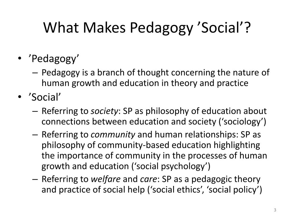PPT - Social-pedagogic Eyes in the Midst of Diverse Understandings ...