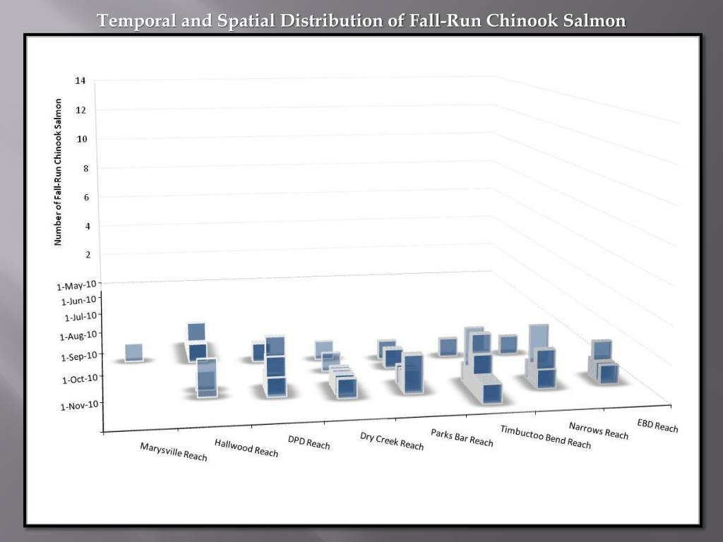 PPT - Acoustic Telemetry: Adult Spring-Run/Fall-Run Chinook Salmon On ...