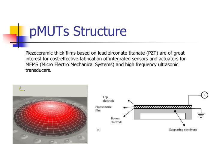 PPT - Piezoelectric Micromachined Ultrasound Transducers ( pMUTs ...
