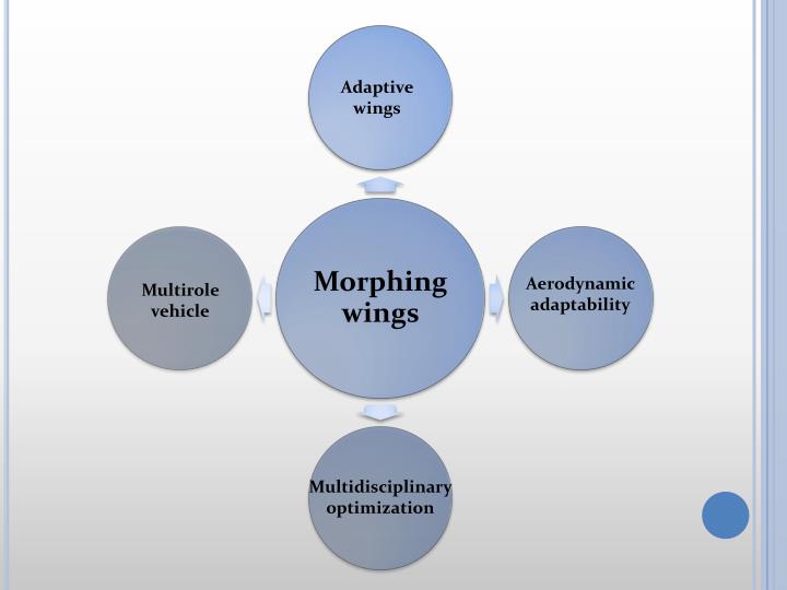 PPT - Morphing wings PowerPoint Presentation - ID:4833084