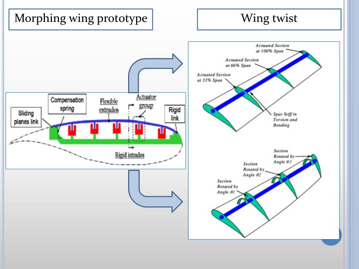 PPT - Morphing wings PowerPoint Presentation - ID:4833084