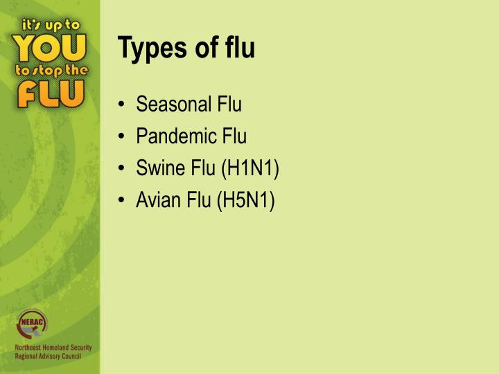 PPT - What is the flu? PowerPoint Presentation - ID:4833661