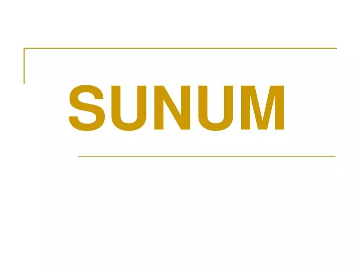 PPT - SUNUM PowerPoint Presentation, free download - ID:4834231