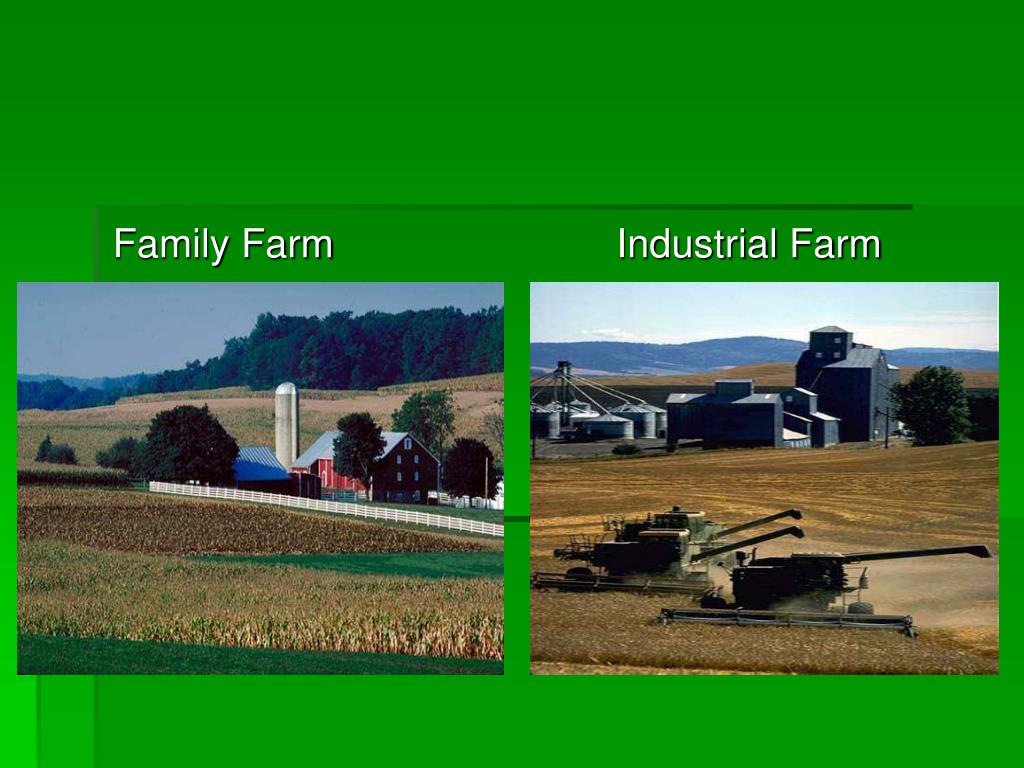 PPT - Losing the Family Farm PowerPoint Presentation, free download ...