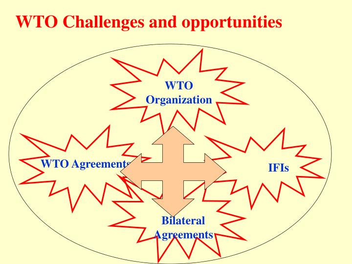 PPT - The WTO: Opportunities and Challenges PowerPoint Presentation ...