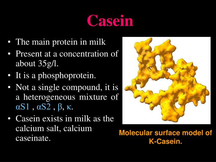 PPT - Isolation of Casein from Milk PowerPoint Presentation - ID:4835791