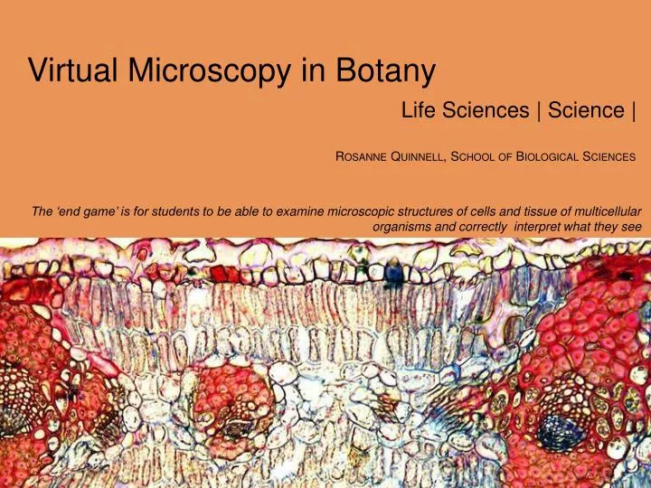 PPT - Virtual Microscopy in Botany PowerPoint Presentation, free ...
