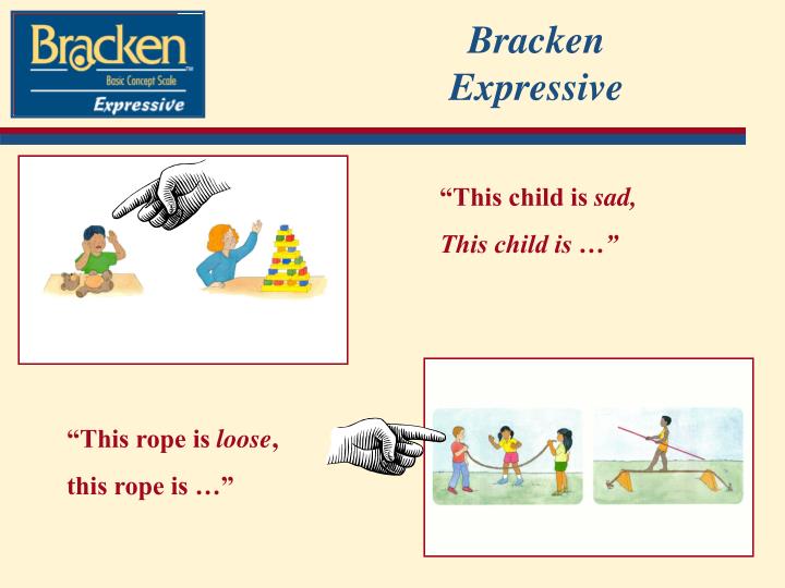 PPT - Bracken Basic Concept Scale PowerPoint Presentation - ID:4836049