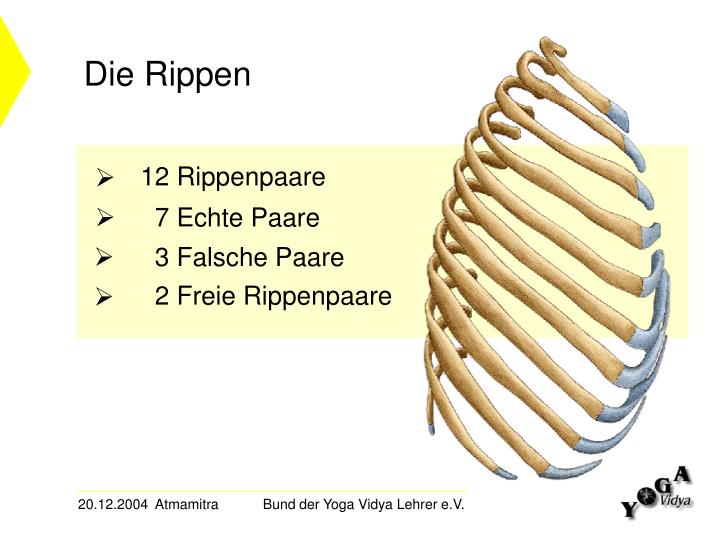 PPT - Yogalehrerausbildung PowerPoint Presentation - ID:4836275