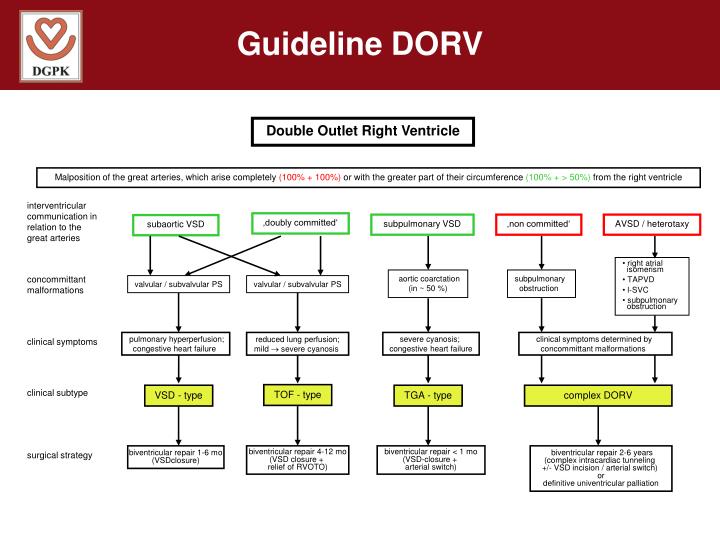 PPT - DGPK guideline Double Outlet Right Ventricle (DORV) PowerPoint ...