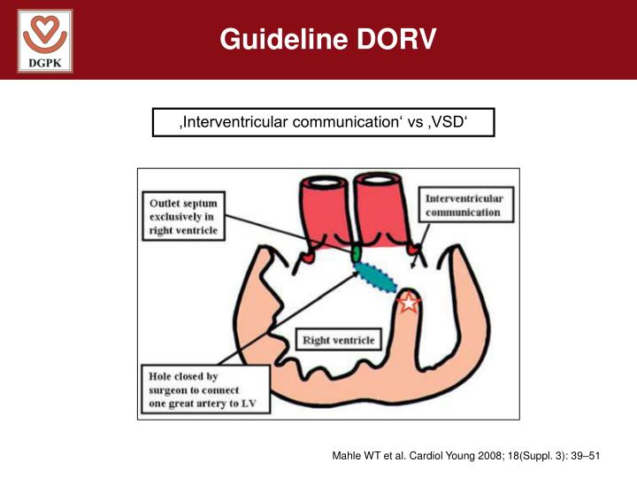 PPT - DGPK guideline Double Outlet Right Ventricle (DORV) PowerPoint ...