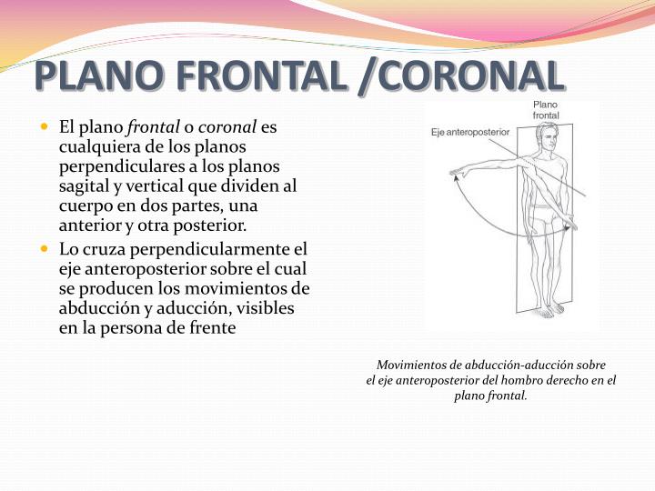 PPT - KINEFILAXIA 2 Año Kinesiologia UFLO PowerPoint Presentation - ID ...
