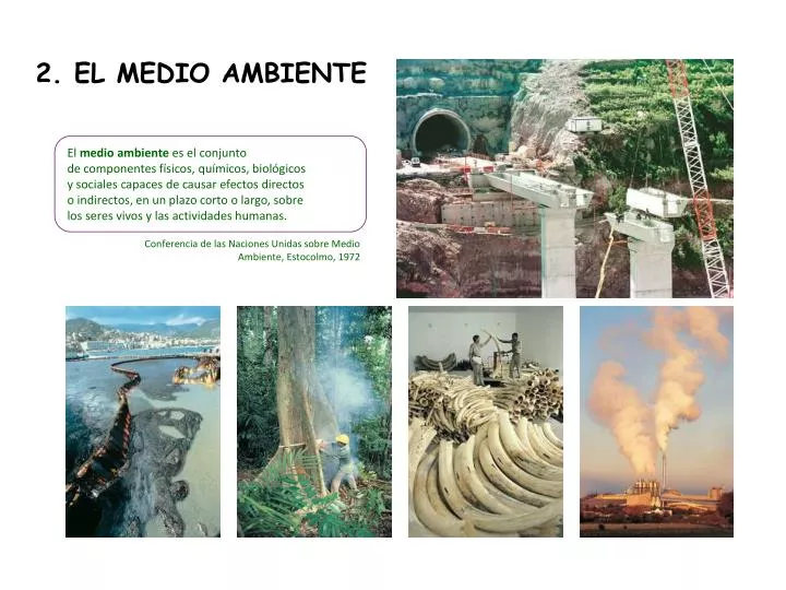 PPT - 2. EL MEDIO AMBIENTE PowerPoint Presentation, free download - ID ...
