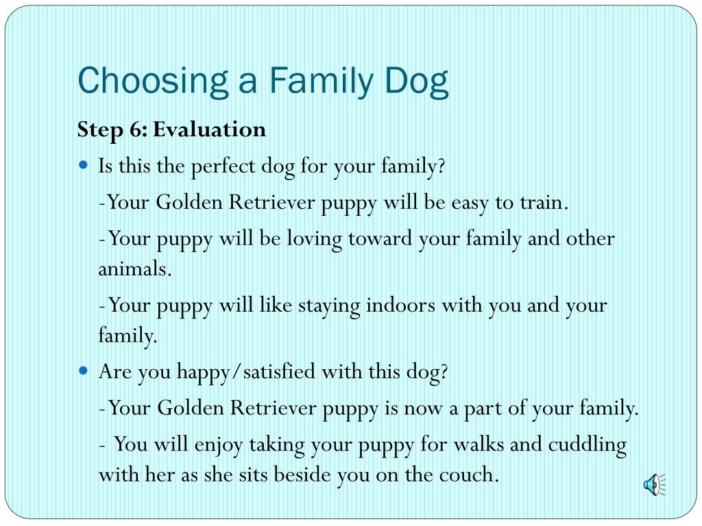 PPT - Persuasive Presentation Project: The Big 6 Choosing a Family Dog ...