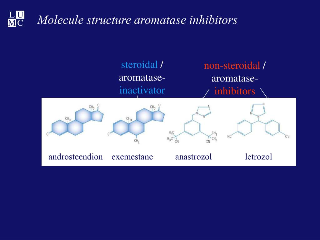 PPT - De beste aromataseremmer? Natuurlijk exemestaan! PowerPoint ...