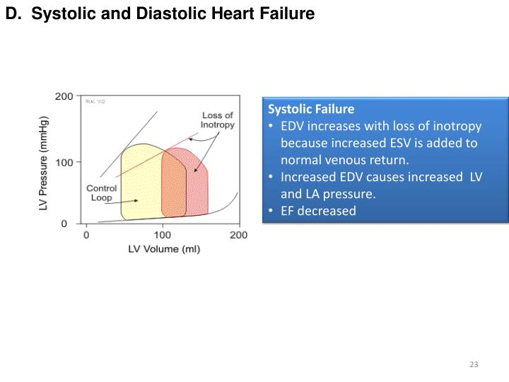 PPT - Ventricular Pressure-Volume Loops PowerPoint Presentation - ID ...