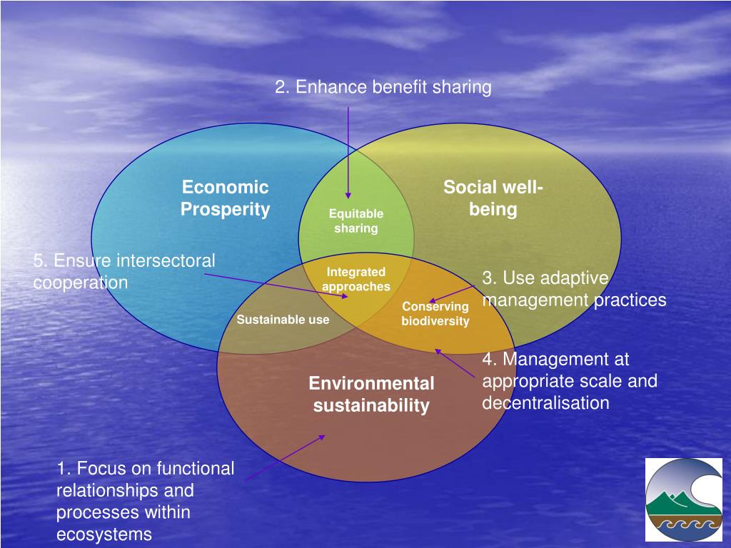 PPT - Implementing the Ecosystem Approach PowerPoint Presentation, free ... PPT - Implementing the Ecosystem Approach PowerPoint Presentation, free ...