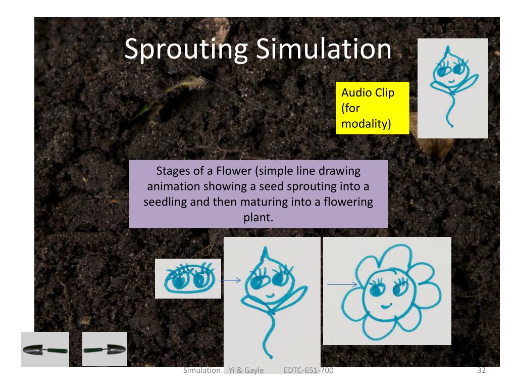 PPT - How to Plant and Care for Flowers PowerPoint Presentation, free ...