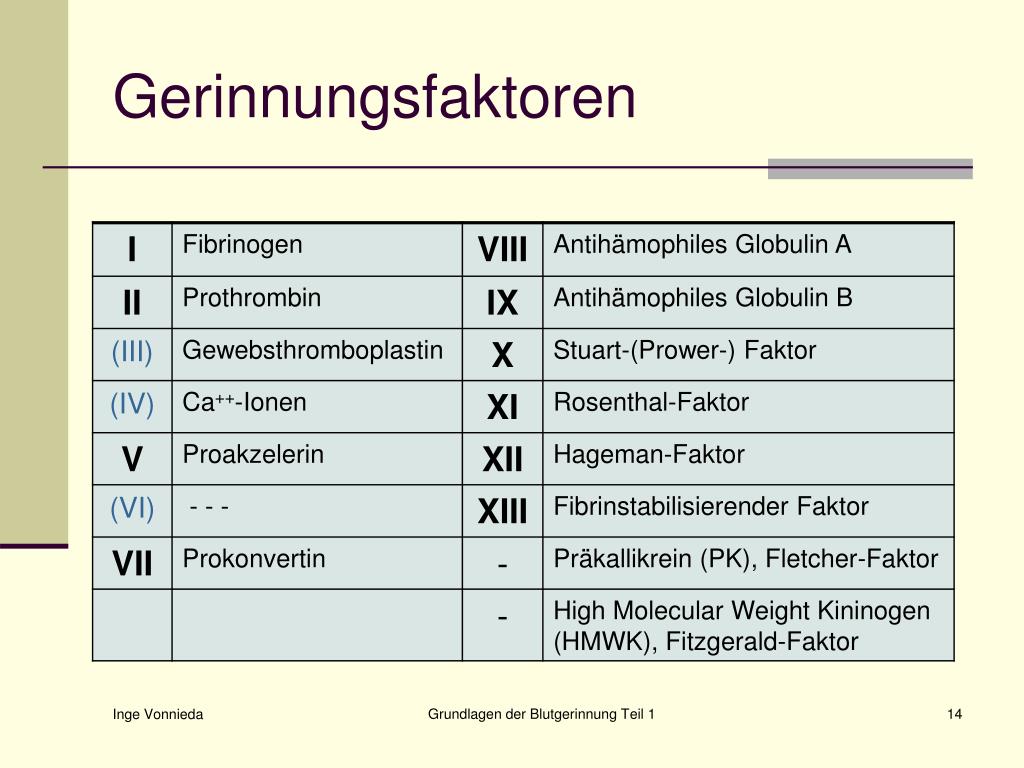 PPT - Grundlagen der Blutgerinnung Teil 1 PowerPoint Presentation, free ...