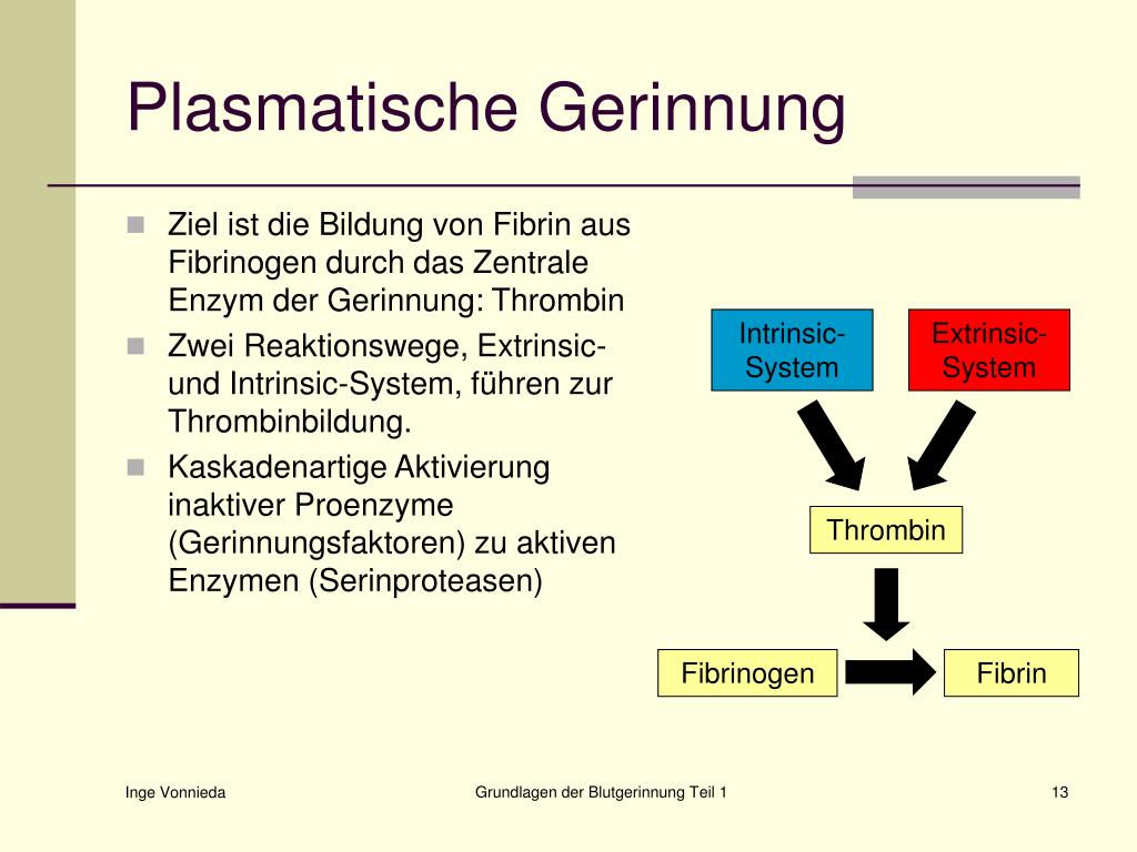 PPT - Grundlagen der Blutgerinnung Teil 1 PowerPoint Presentation, free ...