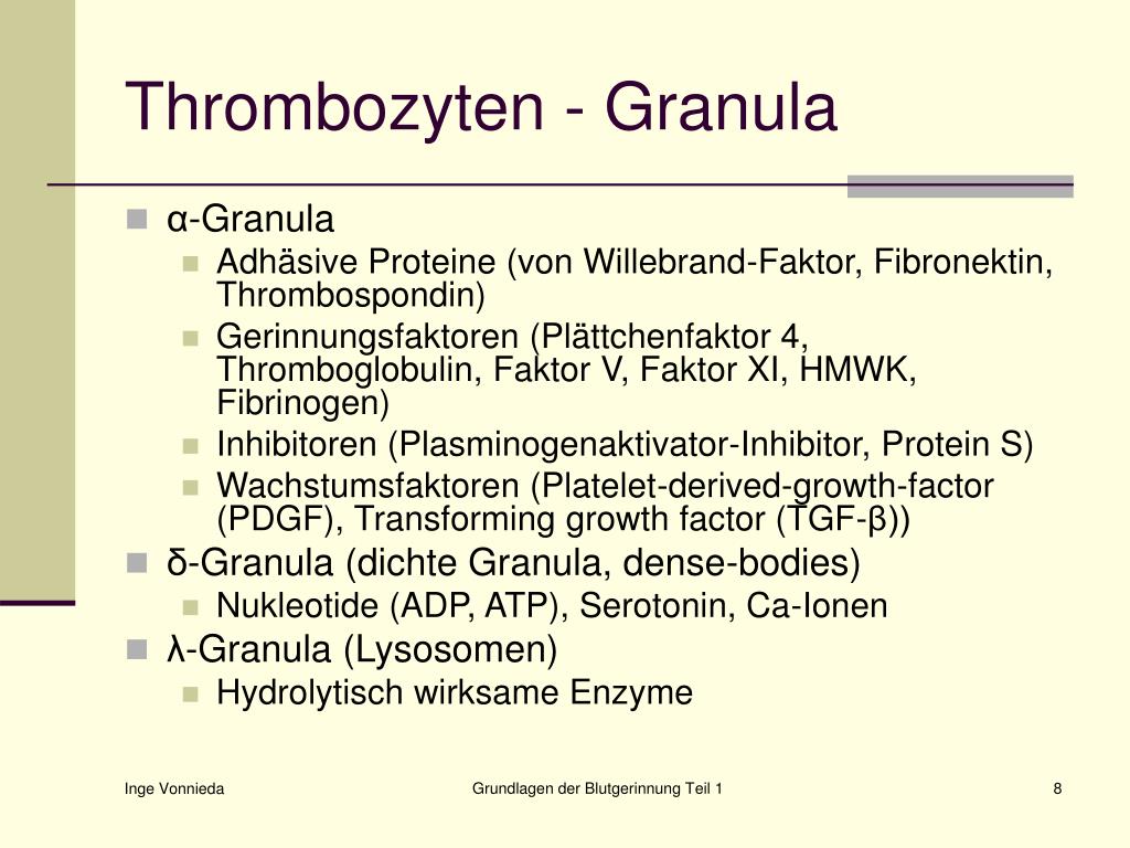 PPT - Grundlagen der Blutgerinnung Teil 1 PowerPoint Presentation, free ...