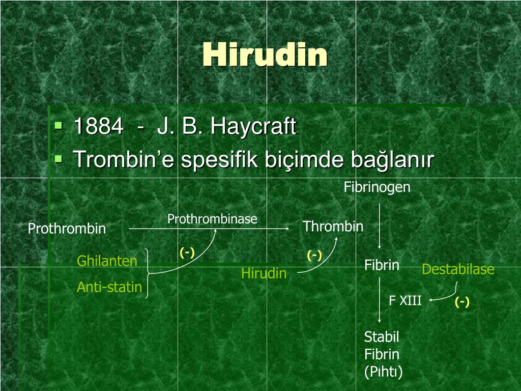 PPT - (HİRUDOTERAPİ) TIBBİ SÜLÜK TEDAVİSİ YAVUZ DİNLER PowerPoint ...