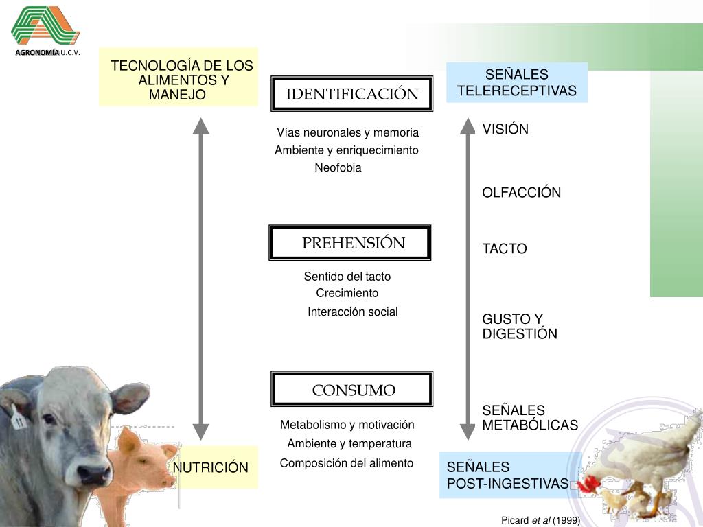 PPT - UNIVERSIDAD CENTRAL DE VENEZUELA Facultad de Agronomía ...