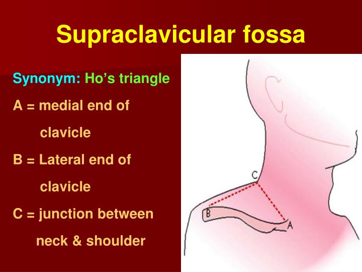 PPT - Nasopharyngeal Carcinoma PowerPoint Presentation - ID:4849304