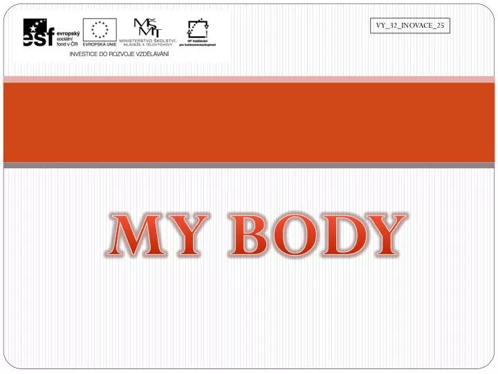 PPT - MY BODY PowerPoint Presentation, free download - ID:4850065