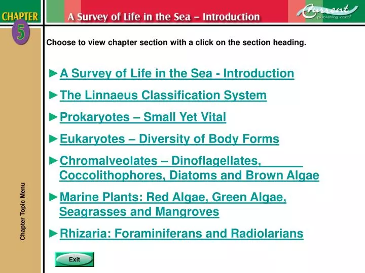 PPT - Choose to view chapter section with a click on the section ...
