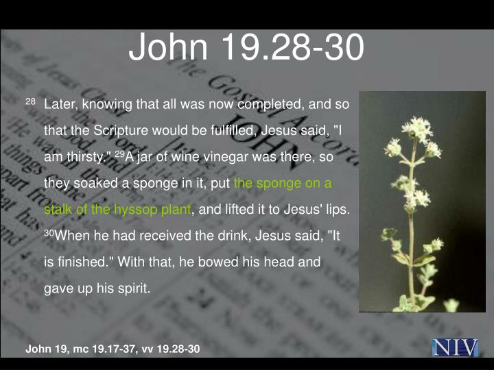 PPT - 1 Peter 1.18-21 PowerPoint Presentation - ID:4850461