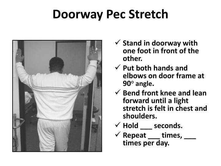 PPT - Anterior Capsule Stretch PowerPoint Presentation - ID:4851850
