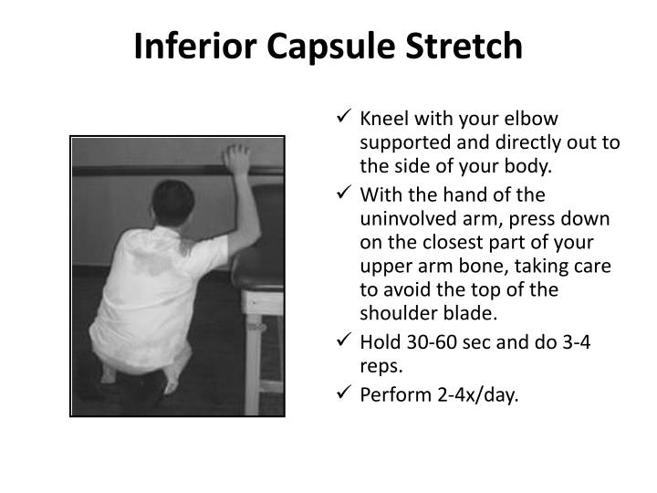 PPT - Anterior Capsule Stretch PowerPoint Presentation - ID:4851850