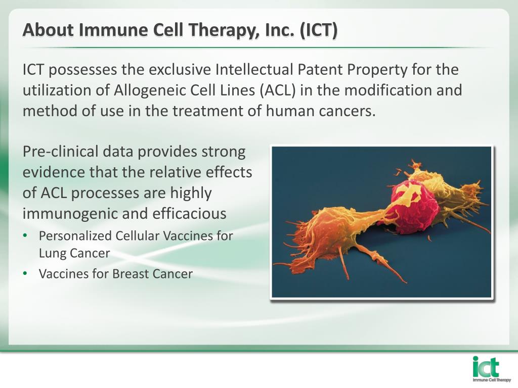 PPT - Immune Cell Therapy | Edward Cohen, M.D., Founder PowerPoint ...