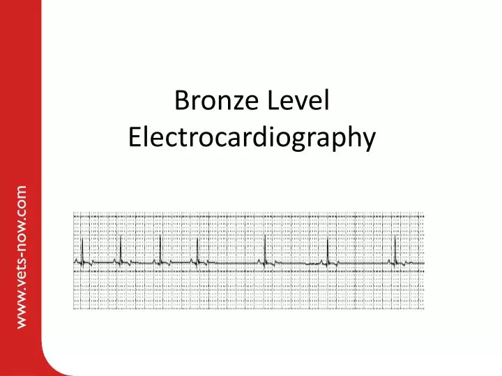 PPT - Bronze Level Electrocardiography PowerPoint Presentation, free ...