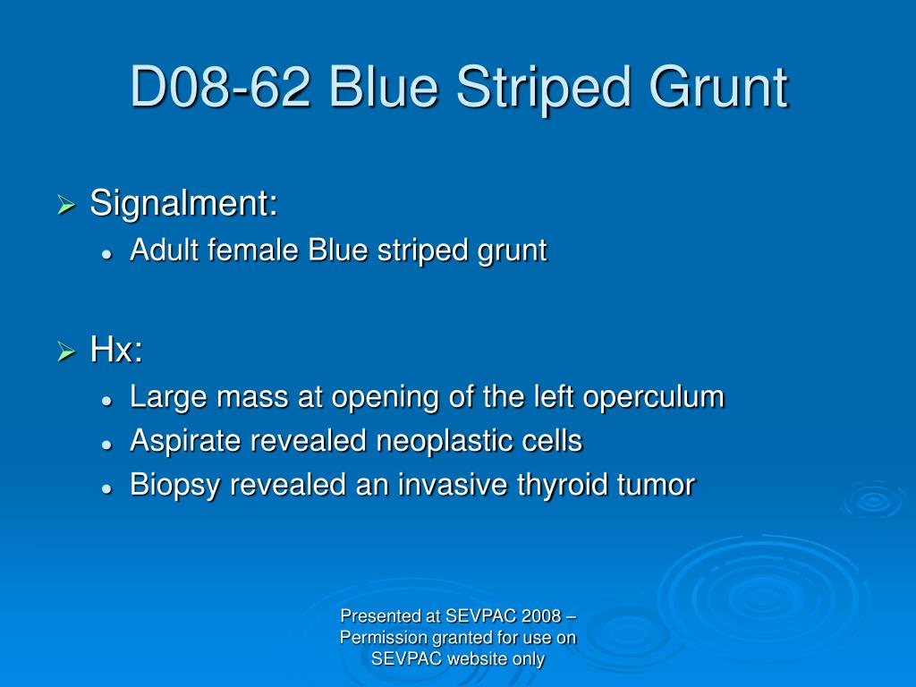 PPT - Branchial Tumor in a Blue Striped Grunt ( Haemulon sciurus ...
