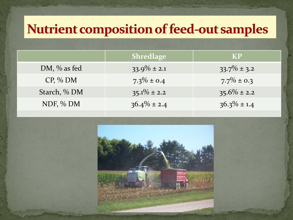 PPT - Results of UW Madison Corn Shredlage™ Feeding Trial PowerPoint ...
