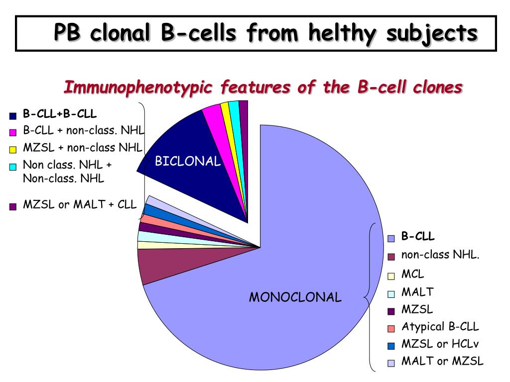 PPT - CANCER RESEARCH CENTER, UNIVERSITY & UNIVERSITY HOSPITAL of ...