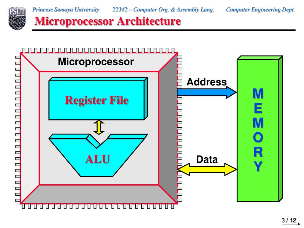 PPT - د. بســام كحـالــه Dr. Bassam Kahhaleh PowerPoint Presentation ...