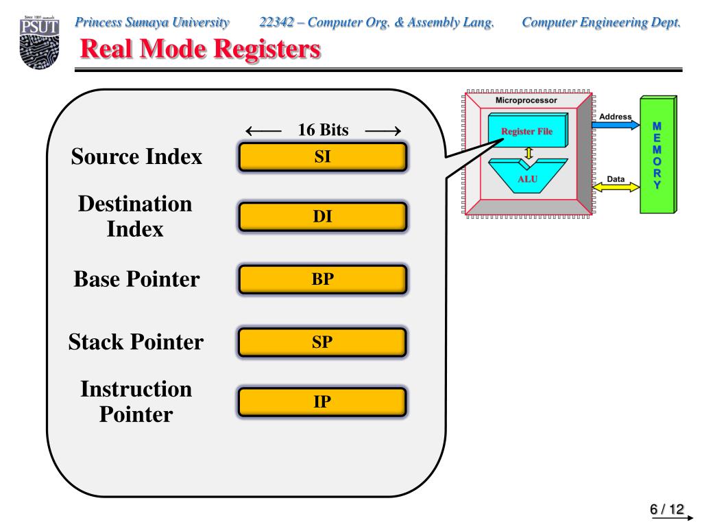 PPT - د. بســام كحـالــه Dr. Bassam Kahhaleh PowerPoint Presentation ...