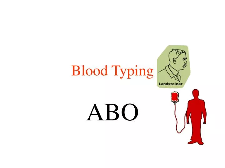 PPT - Blood Typing PowerPoint Presentation, free download - ID:4857963