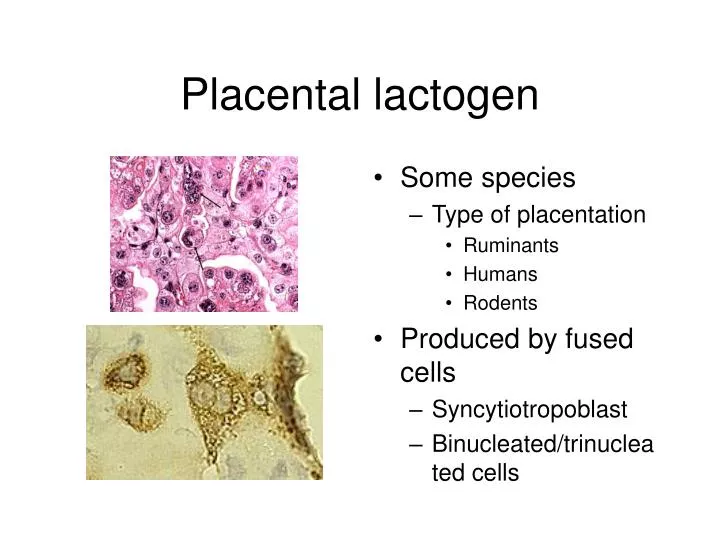 PPT - Placental lactogen PowerPoint Presentation, free download - ID ...