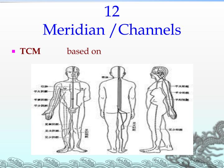 PPT - Acupressure PowerPoint Presentation - ID:4859085