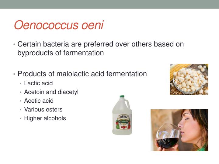 PPT - Science behind wine fermentation PowerPoint Presentation - ID:4860130