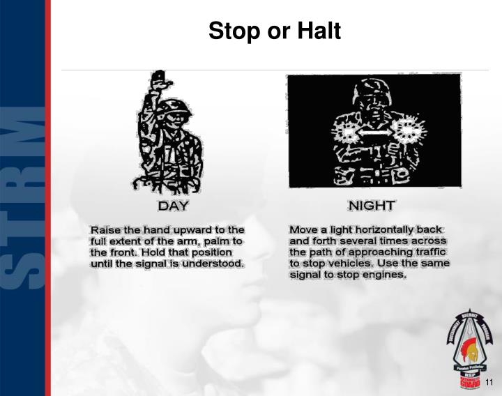 PPT - Use Visual Signaling Techniques PowerPoint Presentation - ID:4860560