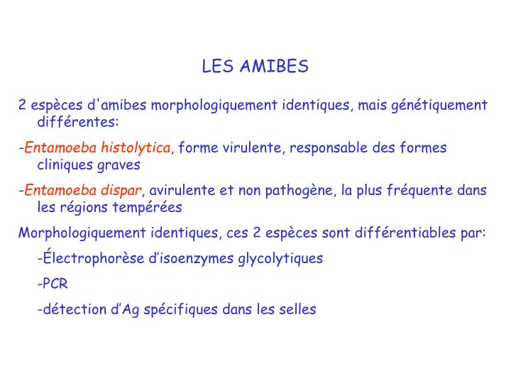 PPT - Amibiase PowerPoint Presentation - ID:4861096