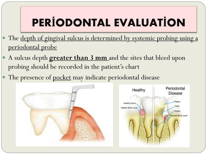 PPT - CLINICAL EXAMINATION AND DIAGNOSIS PowerPoint Presentation - ID ...