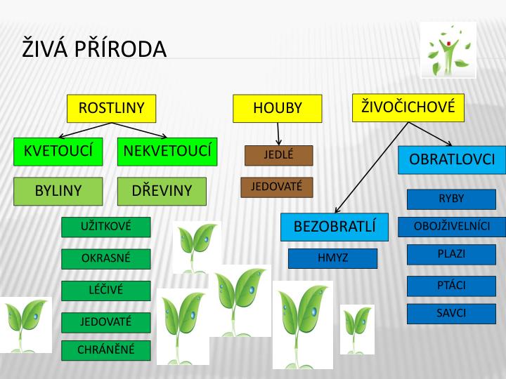 PPT - ŽIVÁ PŘÍRODA PowerPoint Presentation - ID:4861550