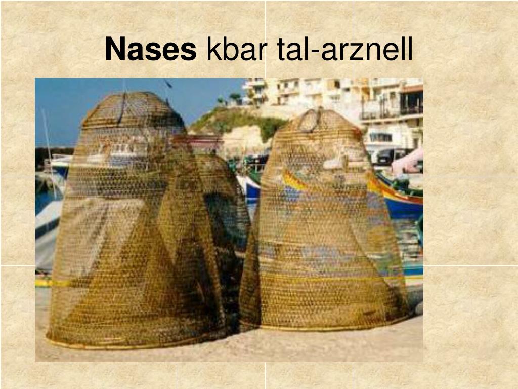 PPT - Kulleġġ Maria Re g ina Primarja B Mosta PowerPoint Presentation ...