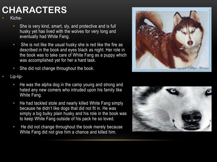 PPT - White Fang PowerPoint Presentation - ID:4862979